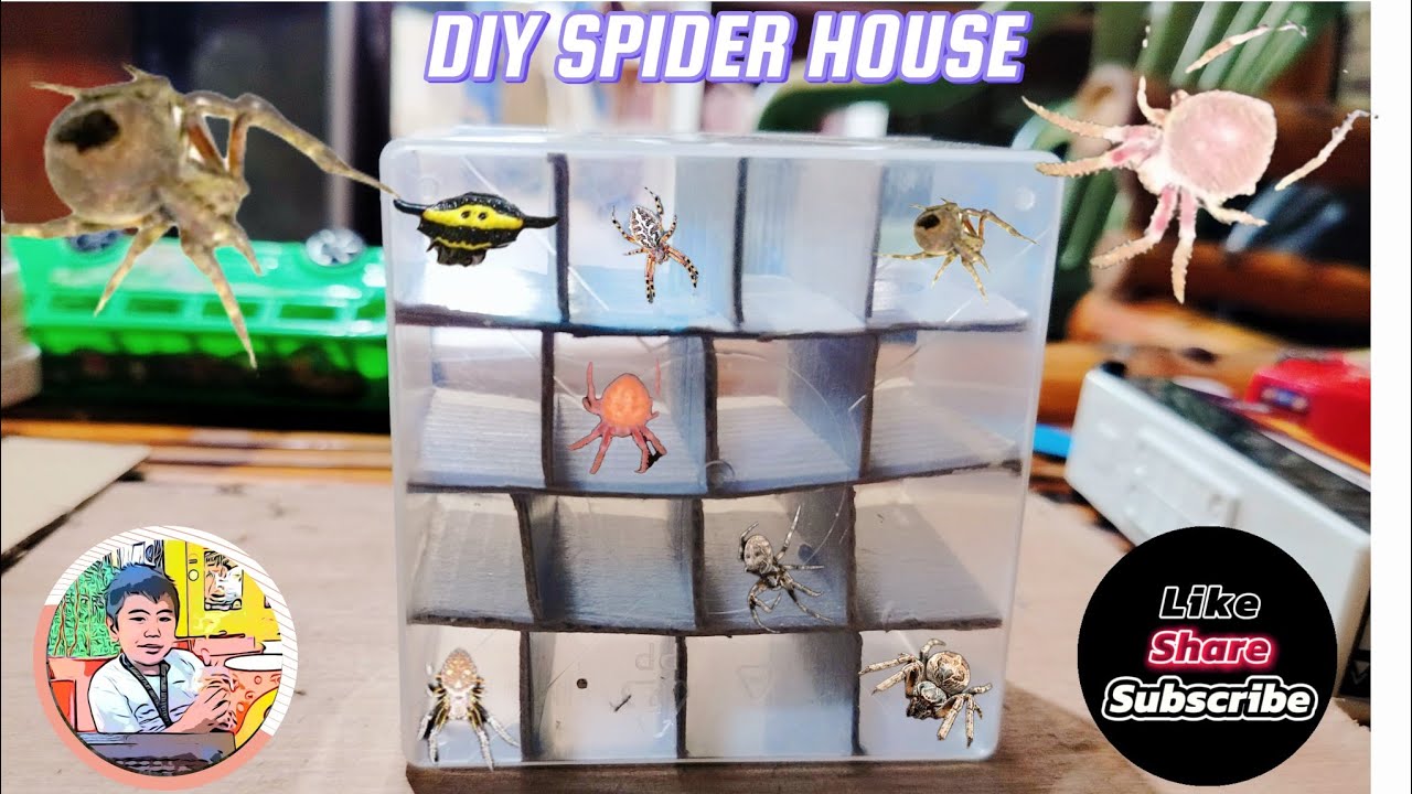 DIY Pinaka simple na Bahay ng gagamba - YouTube