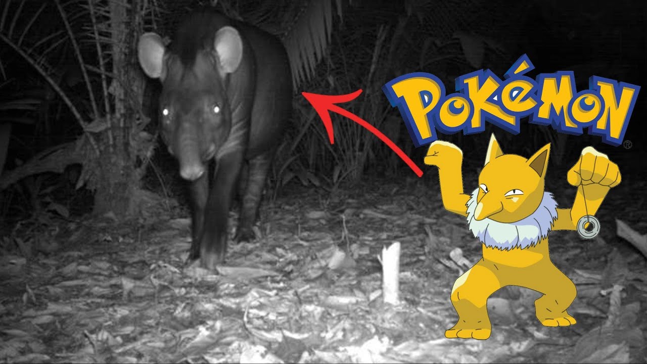 No Creerás el Escalofriante Origen del Pokémon Hypno - YouTube