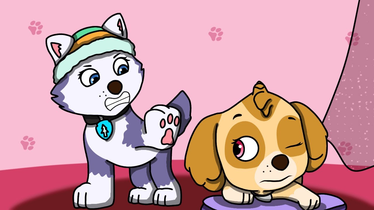 Everest is so Mad at Skye but Skye Looks Doesn't Care at All - YouTube