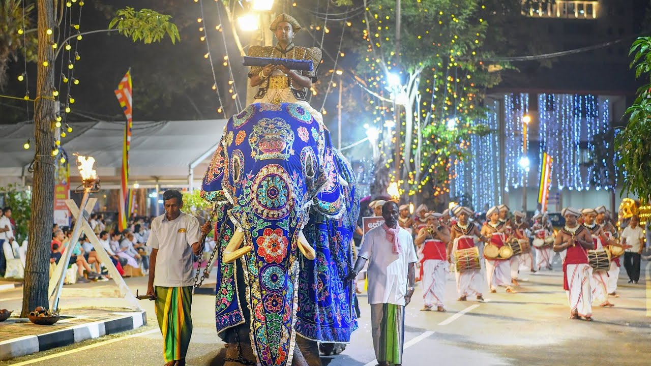 Majestic March of The Gangaramaya Navam Perahera Elephants - මෙවර නවම් ...