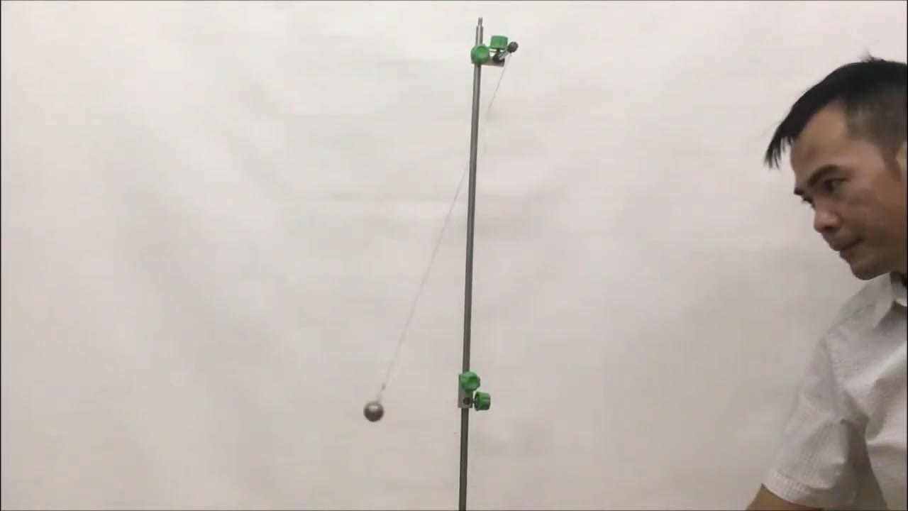 Thí nghiệm Dao động của con lắc lò xo - Con lắc đơn - YouTube