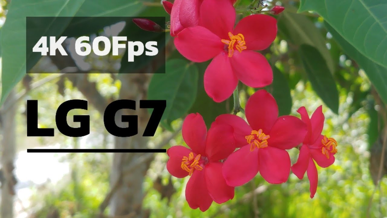 Video 4k ( 60 fps ) | LG G7 | Chiếc điện thoại 6 năm tuổi vẫn quay chụp tốt năm 2024 ? - YouTube