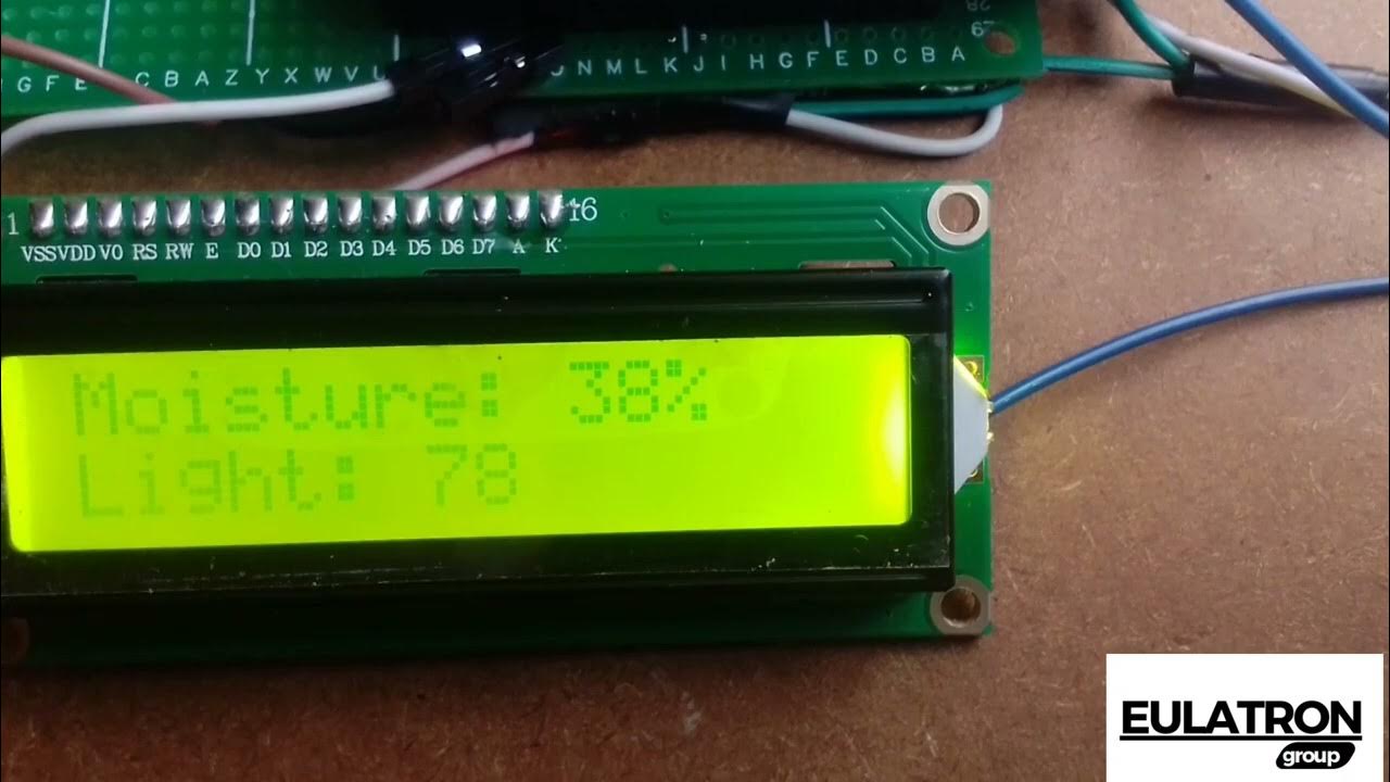 Automated Greenhouse Monitoring System Project - YouTube
