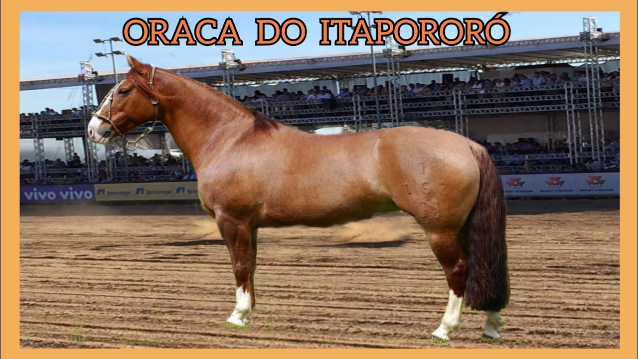 ORACA DO ITAPORORÓ - YouTube