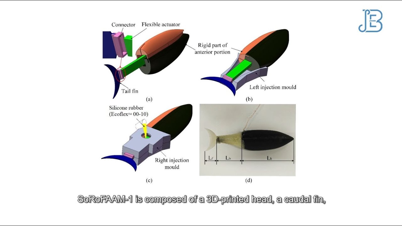 Tuna-inspired robot powered by heat - YouTube