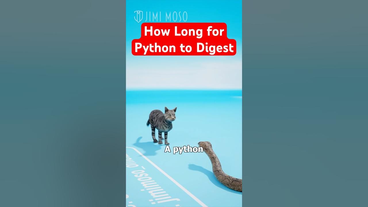 How Long for Python to Digest This Animal 🐍 #shorts #science #snakes ...