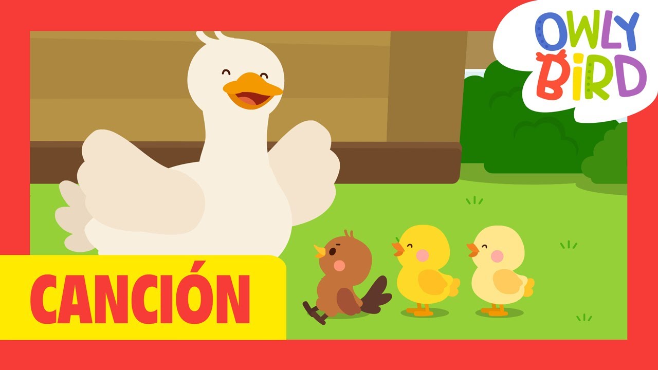 🐣🐣🐣 Seis patitos l Canción animal l Canciones infantiles l OwlyBird ...