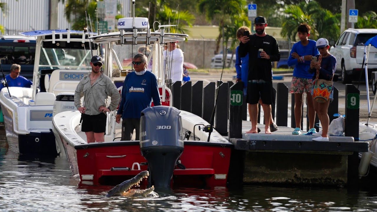 Leg For Dinner ? Reckless Boater Taunts the Croc at Boat Ramp (Chit ...