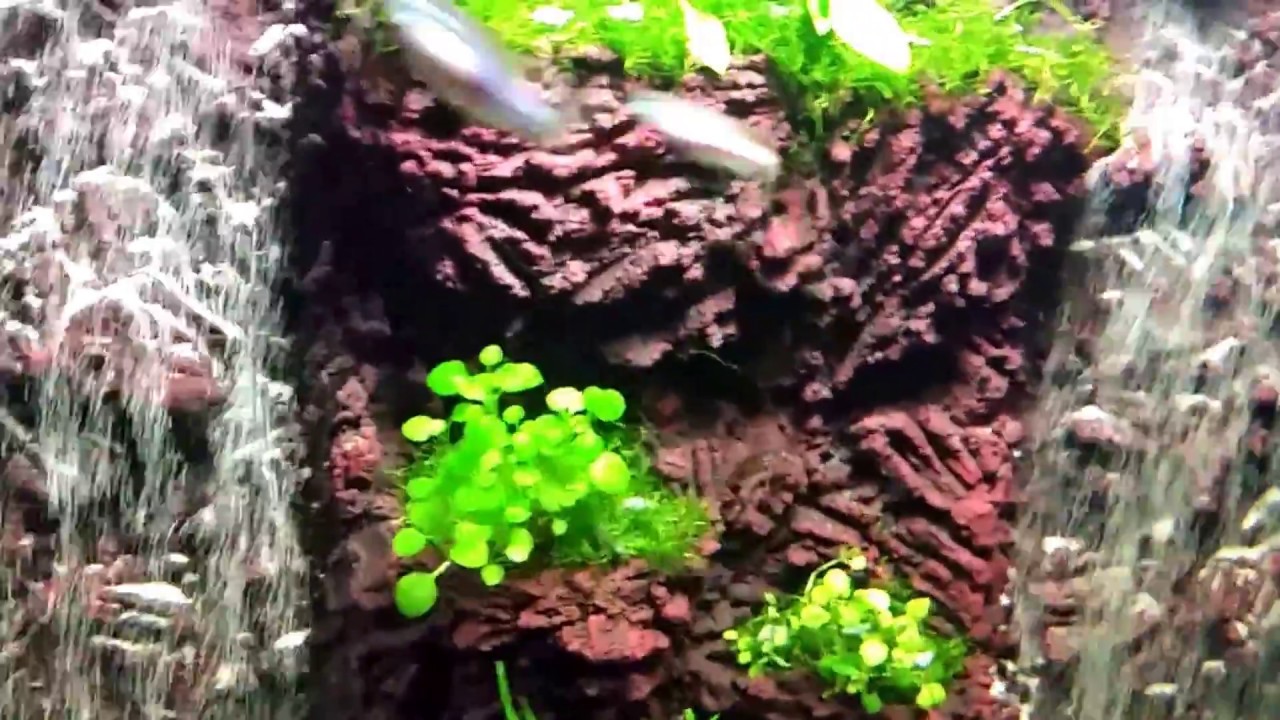 Aquarium Sand Waterfall 57 - YouTube