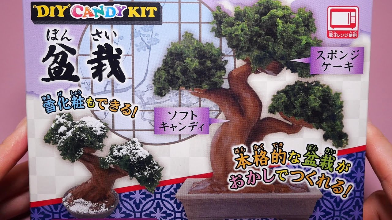 [ASMR]포핀쿠킨 달달한 초콜렛으로 화분(분재) 만들기/Popin Cookin Bonsai making kit/ハート DIY ...