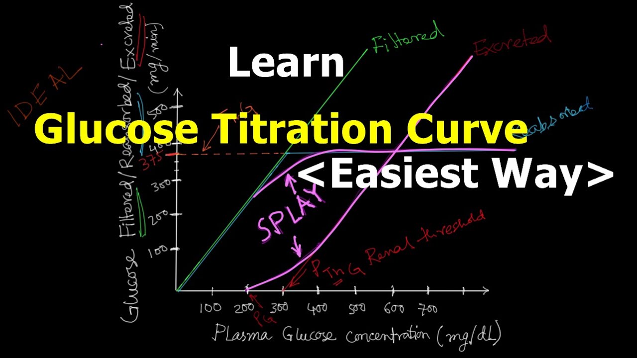 Glucose Titration Curve Splay Phenomenon Physiology of Kidney - Renal ...