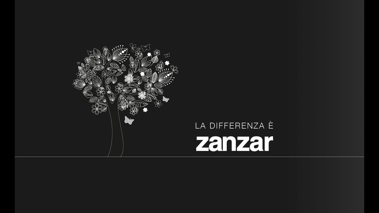 Zanzar SpA - Intervista al presidente ANGELO L'ANGELLOTTI - YouTube