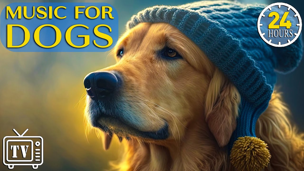 24 Hours of Relaxing Dog Music To Calm Anxiety: Depression Prevention ...