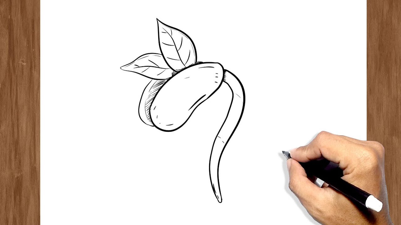 How to Draw Bean Sprout - YouTube