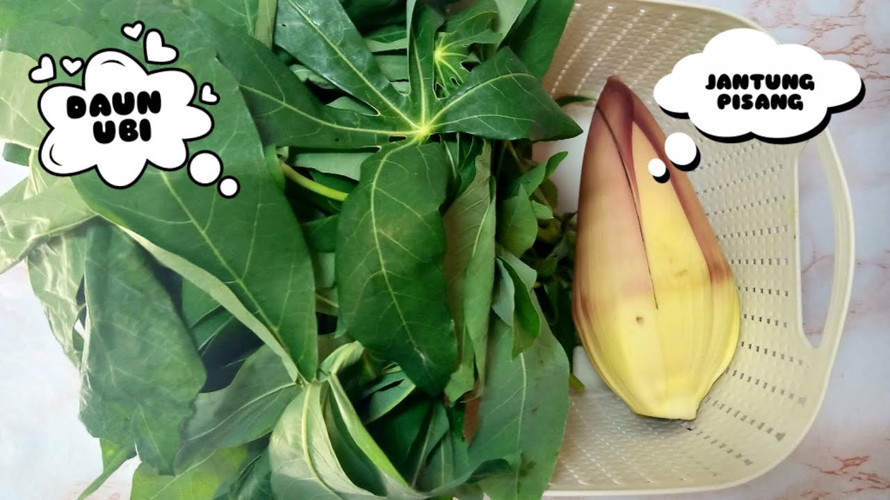 COBALAH MASAK DAUN UBI (SINGKONG) SEPERTI INI !! COCOK UNTUK MENU SEHARI-HARI | DAUN UBI CINCANG ...