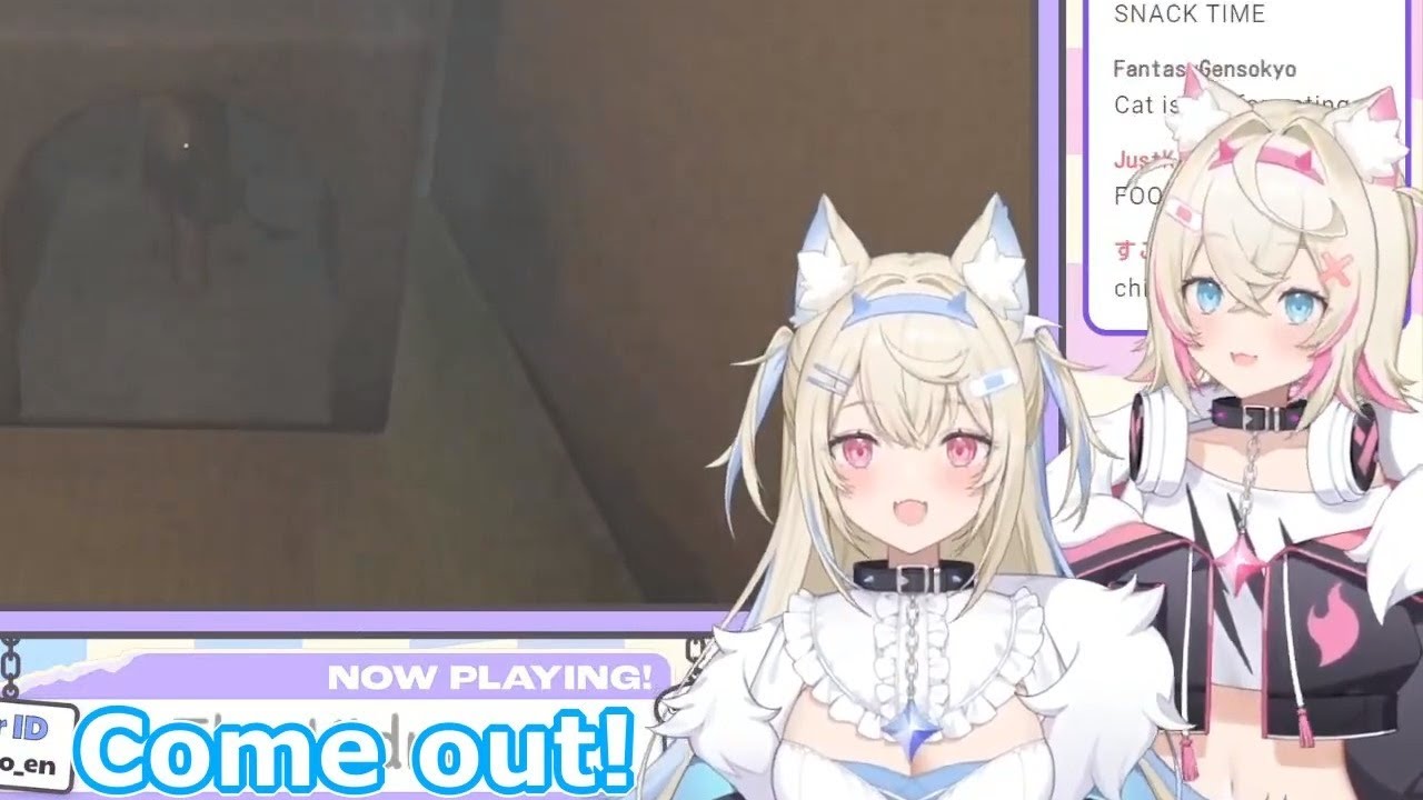 Fuwamoco ̶t̶e̶r̶r̶o̶r̶i̶z̶e̶s̶ fawns over cat (The Kidnap) [Hololive ...