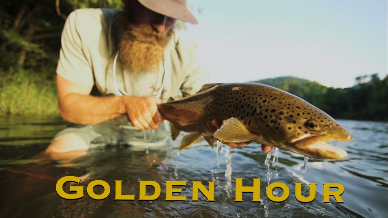 GOLDEN HOUR | Sunset Streamer Strike - YouTube