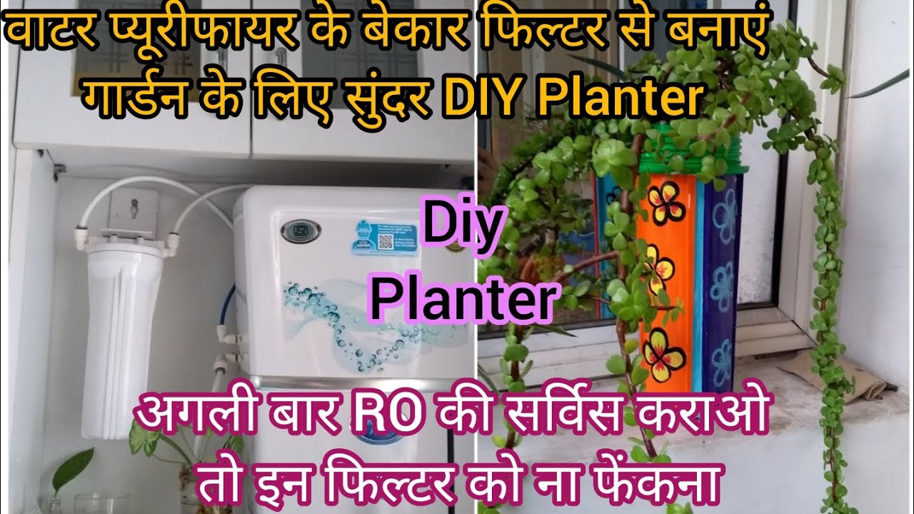 DIY filter planter. How to grow Jade plant in discarded filter. use of ...