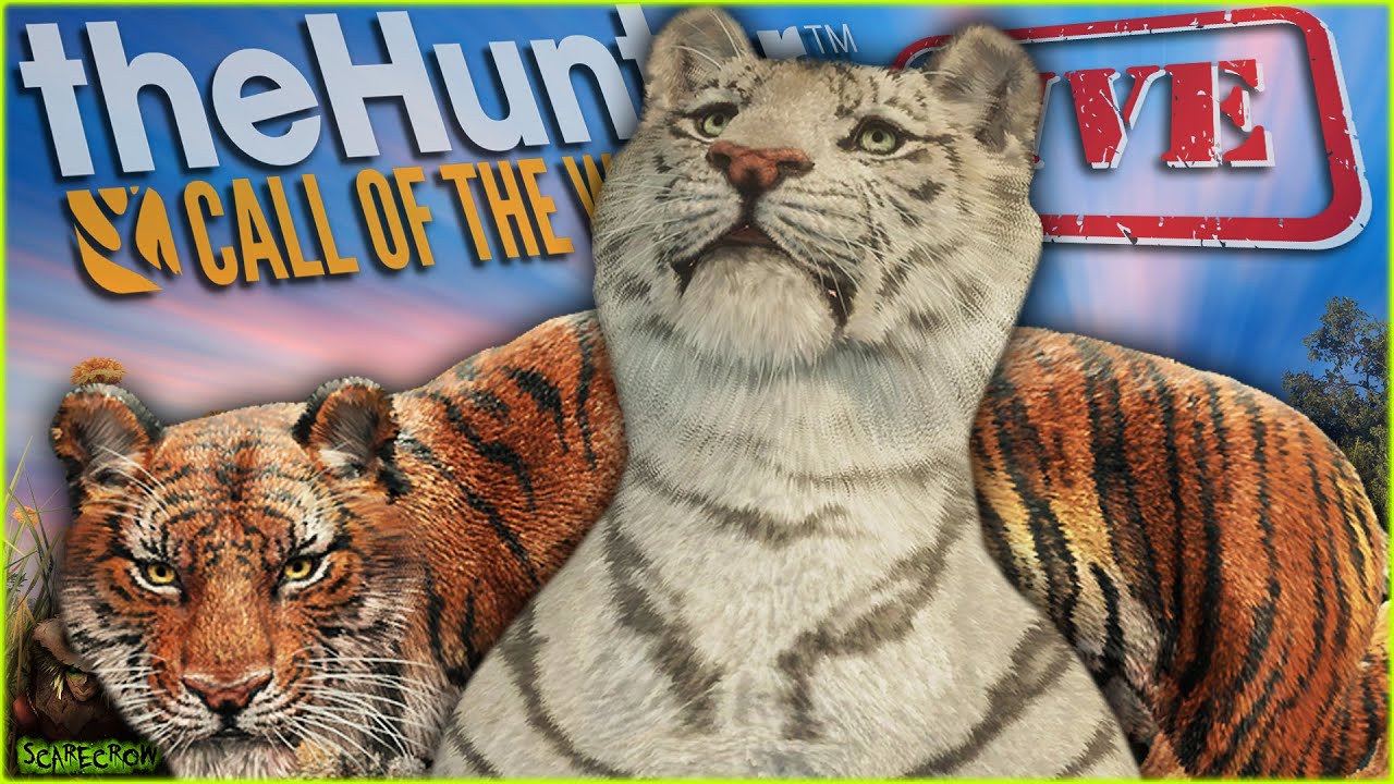 Hunting Tigers & Tahr & More On The New Map Sundarpatan! Call of the ...