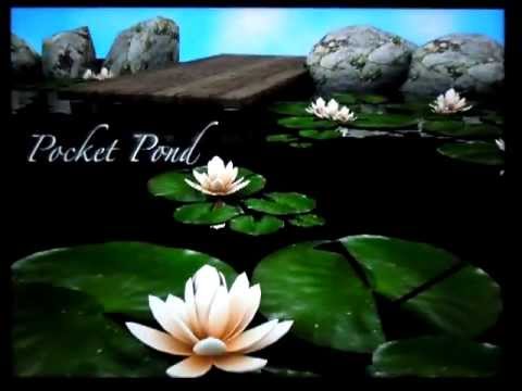 Pocket pond - review by Best-Toddler-Apps.org - YouTube