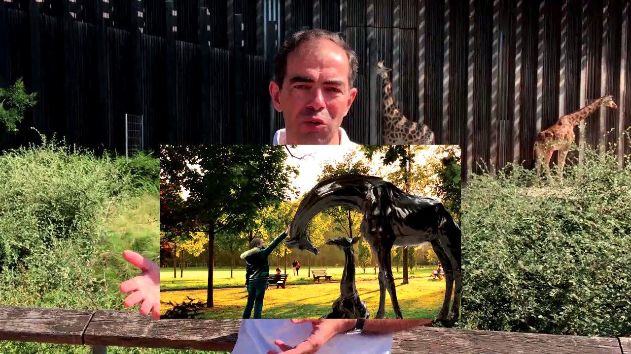 Grandeur Nature Lyon, une histoire d'art et de biodiversité à Lyon ...