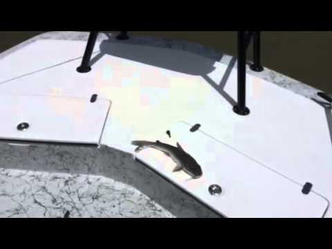 Joseph on the Dargel Scout! - YouTube