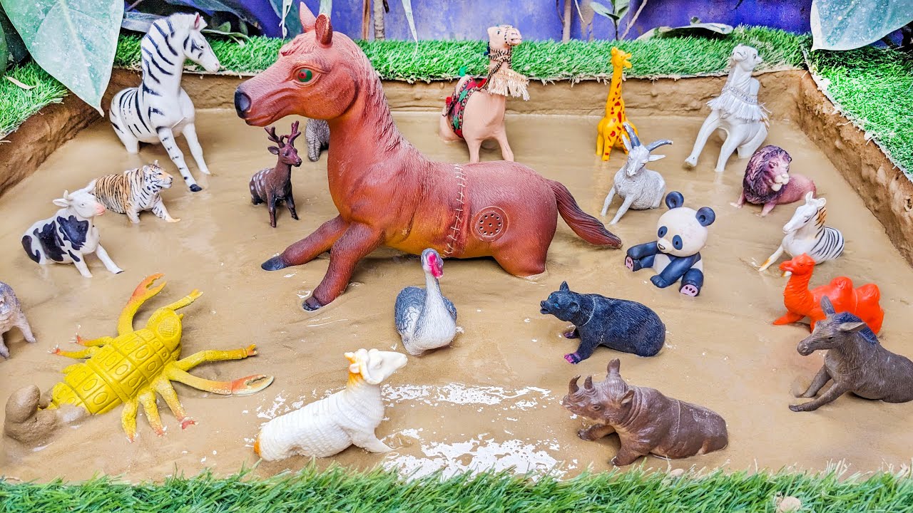 Adventures in the Sandbox: Mighty Big Wild Zoo Animals Rescued 🦁🦏🐊 ...