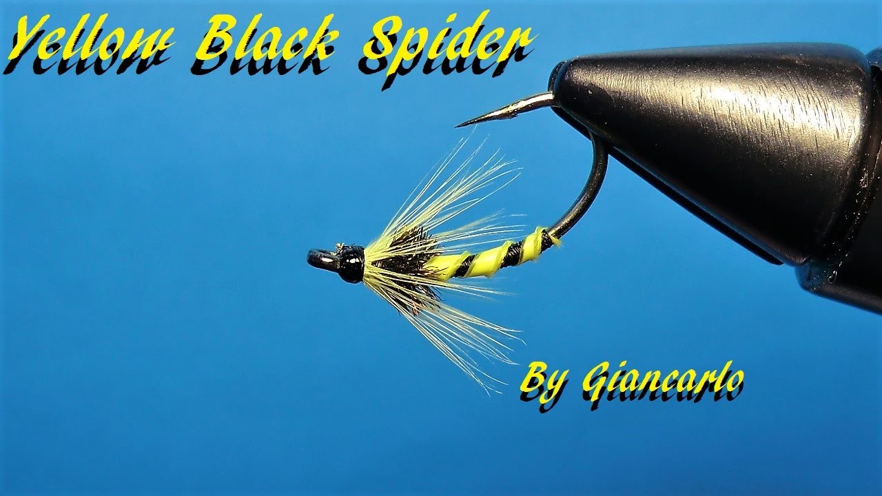 FLY TYING YELLOW BLACK SPIDER By Giancarlo - YouTube
