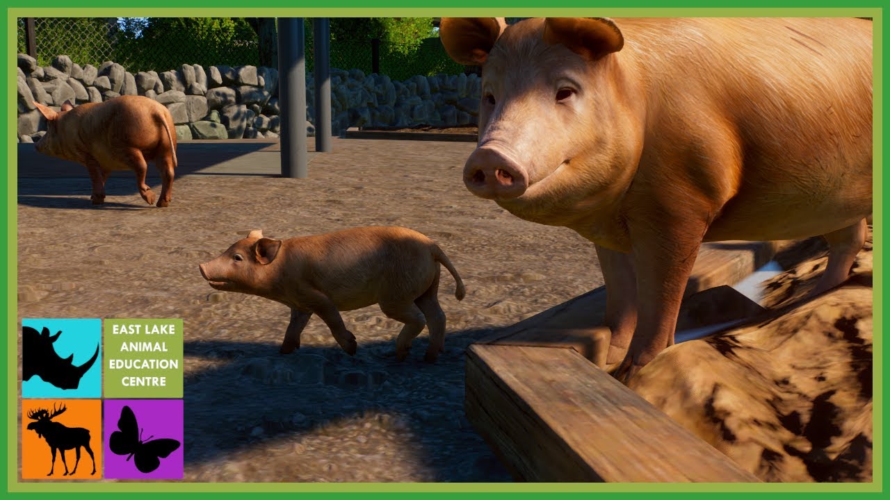 THE BARNYARD BEGINS || EP05 || EAST LAKE ANIMAL EDUCATION CENTRE ...