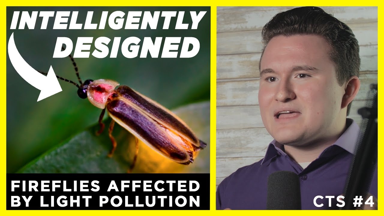 Lighting bugs affected by Light Pollution: Scientists Enlightened by ...