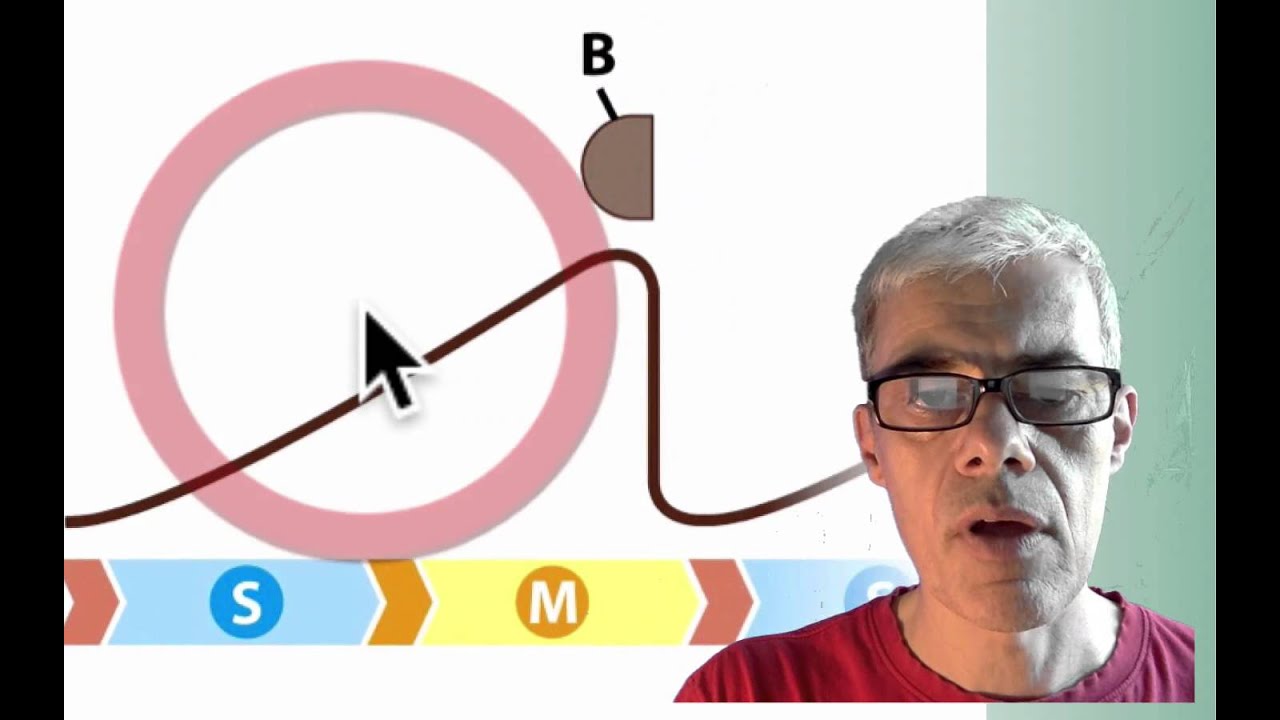 05 Cell Cycle Control - YouTube