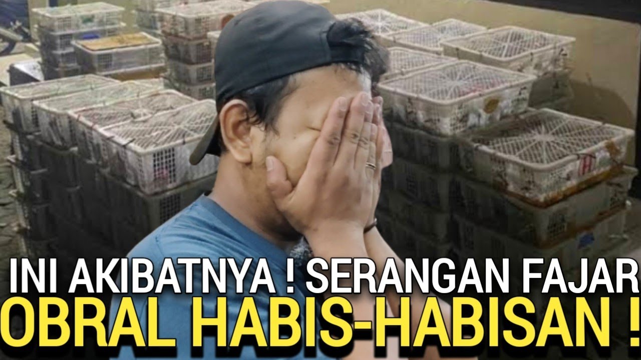 AMIT-AMIT DAH ! PASAR BURUNG PRAMUKA LEWAT LIHAT KIOS INI BIKIN NGILER DI FATIR KICAU JAYA - YouTube
