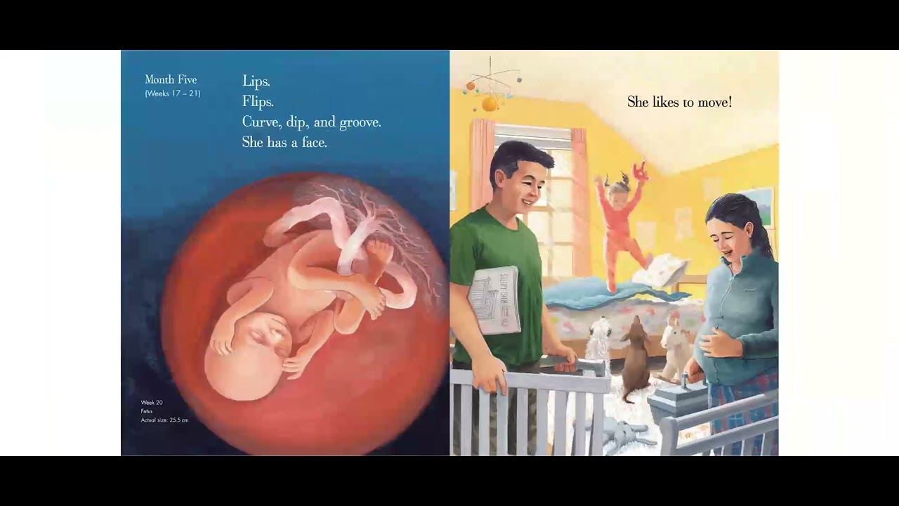 Nine Months Before A Baby Is Born By Miranda Paul And Jason Chin YouTube