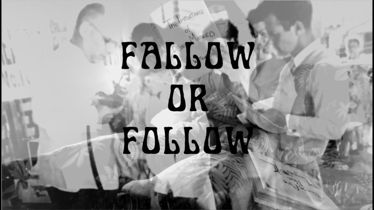 Fallow or Follow - YouTube
