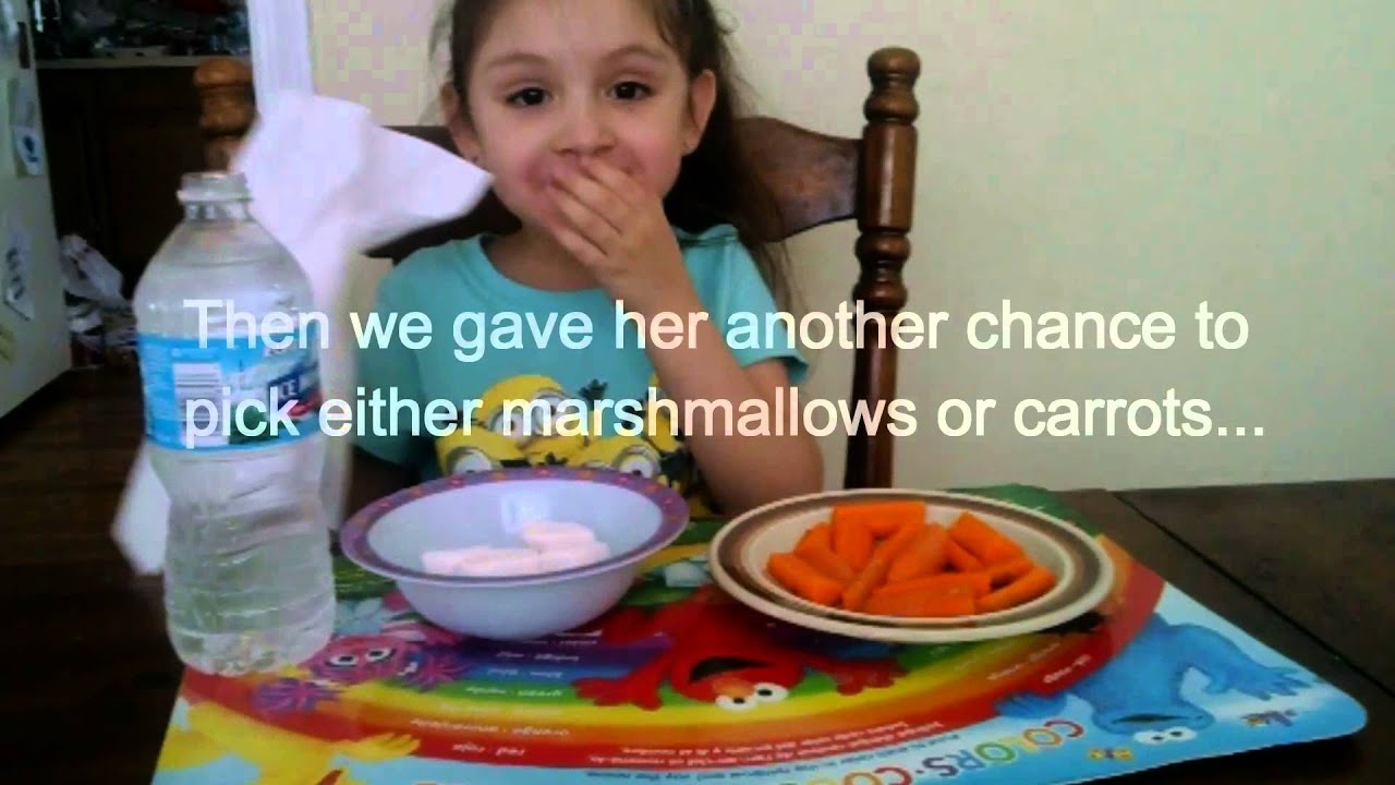 Classical Conditioning Project Means-AP Psych - YouTube