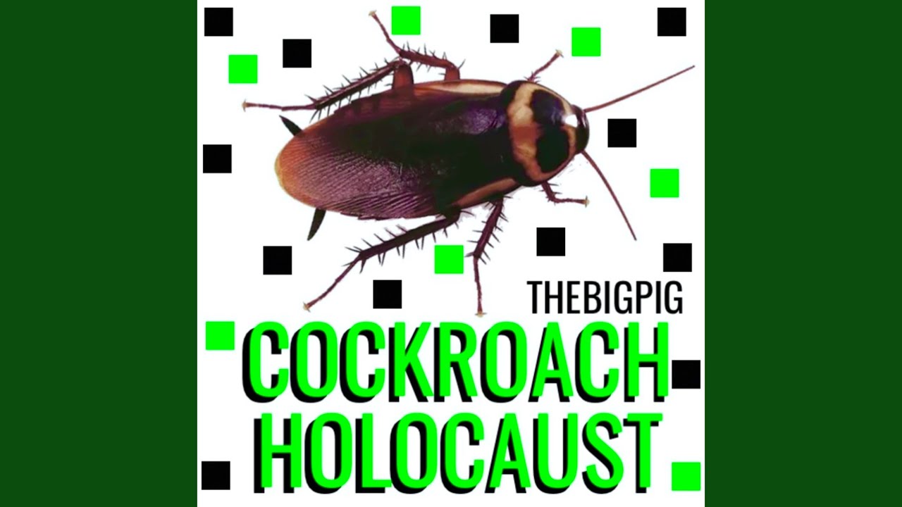 Cockroach Holocaust - YouTube