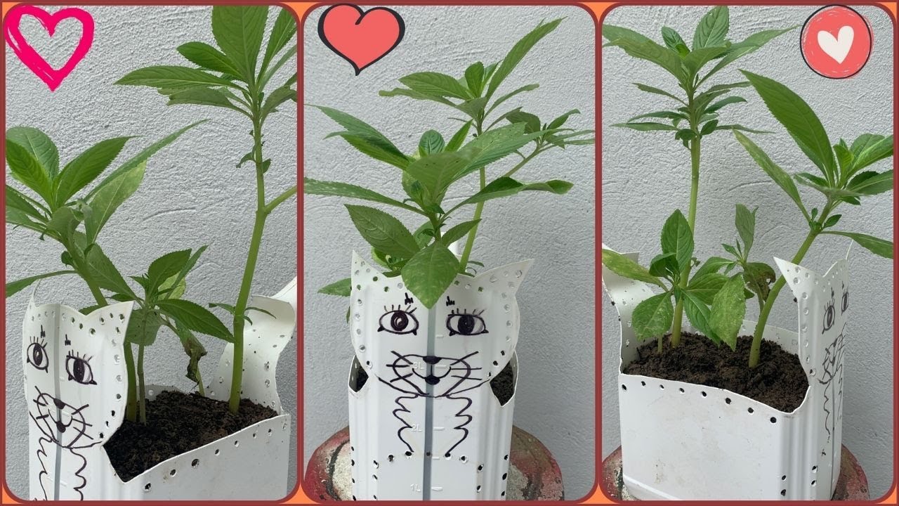 Plant Pots made from Recycled Plastic | Cute cat shaped flower pots ...
