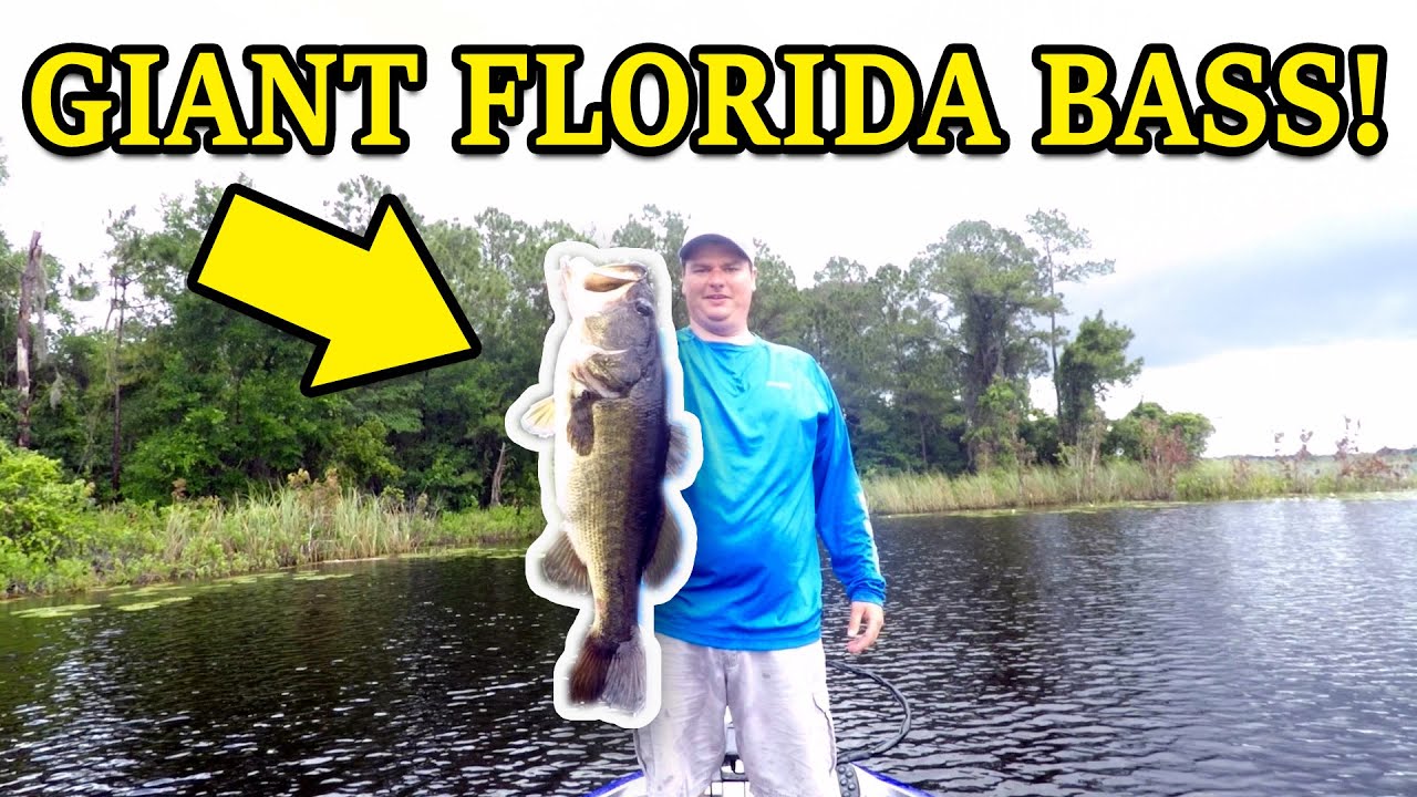 GIANT Florida Bass Fishing! - NEW PB LARGEMOUTH! - YouTube