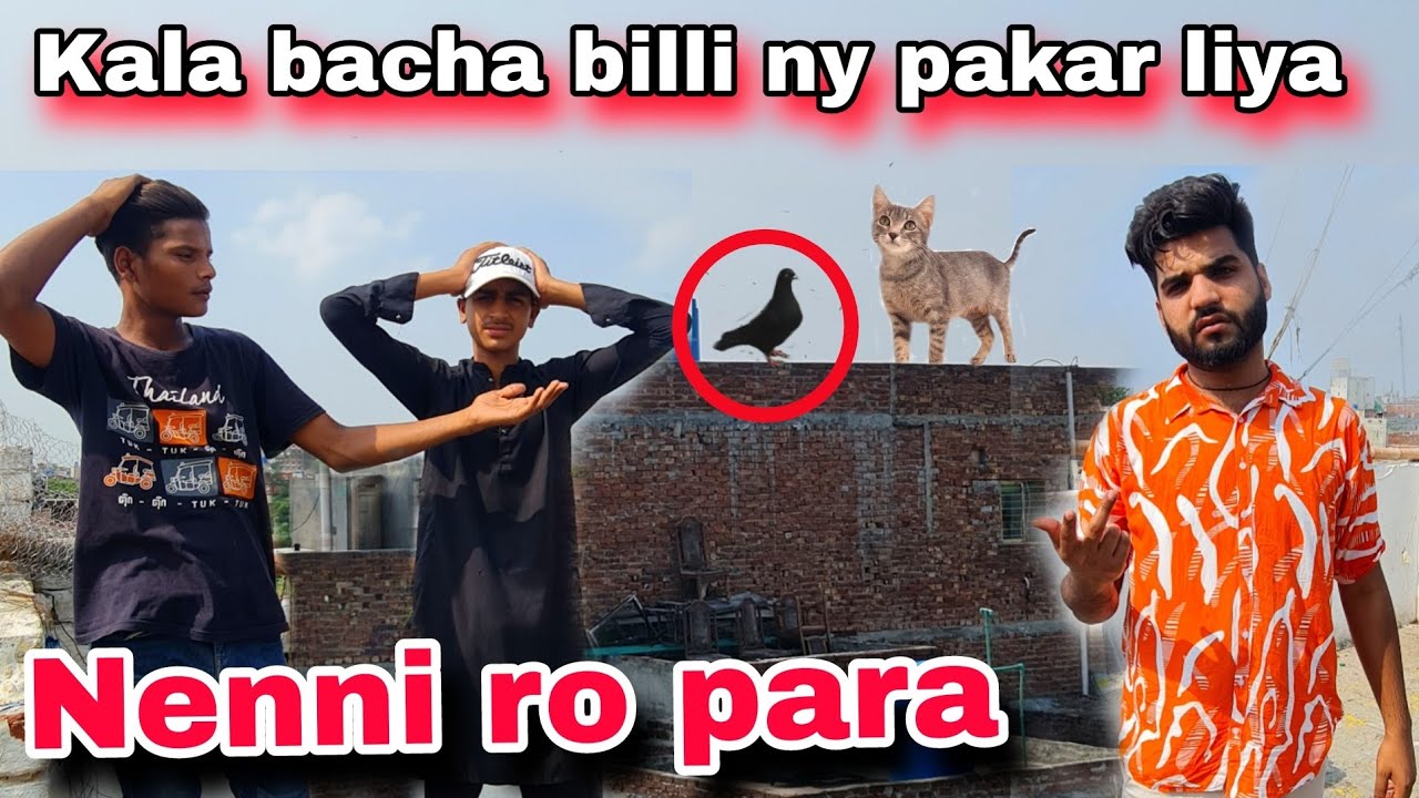 Nani bht roya kala bacha bili ly gai🥺 - YouTube