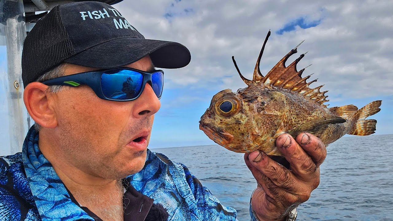 Boat Fishing Solo for Fish Tucker. It was Shockingly Good! - YouTube