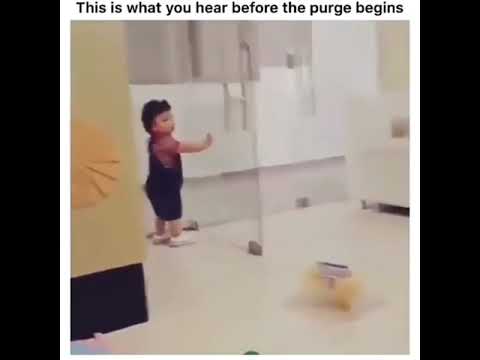 Funny purge meme - YouTube