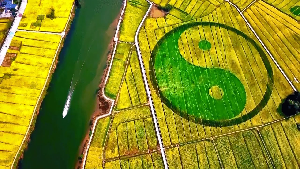 Tongnan authentic products and experiences - YouTube