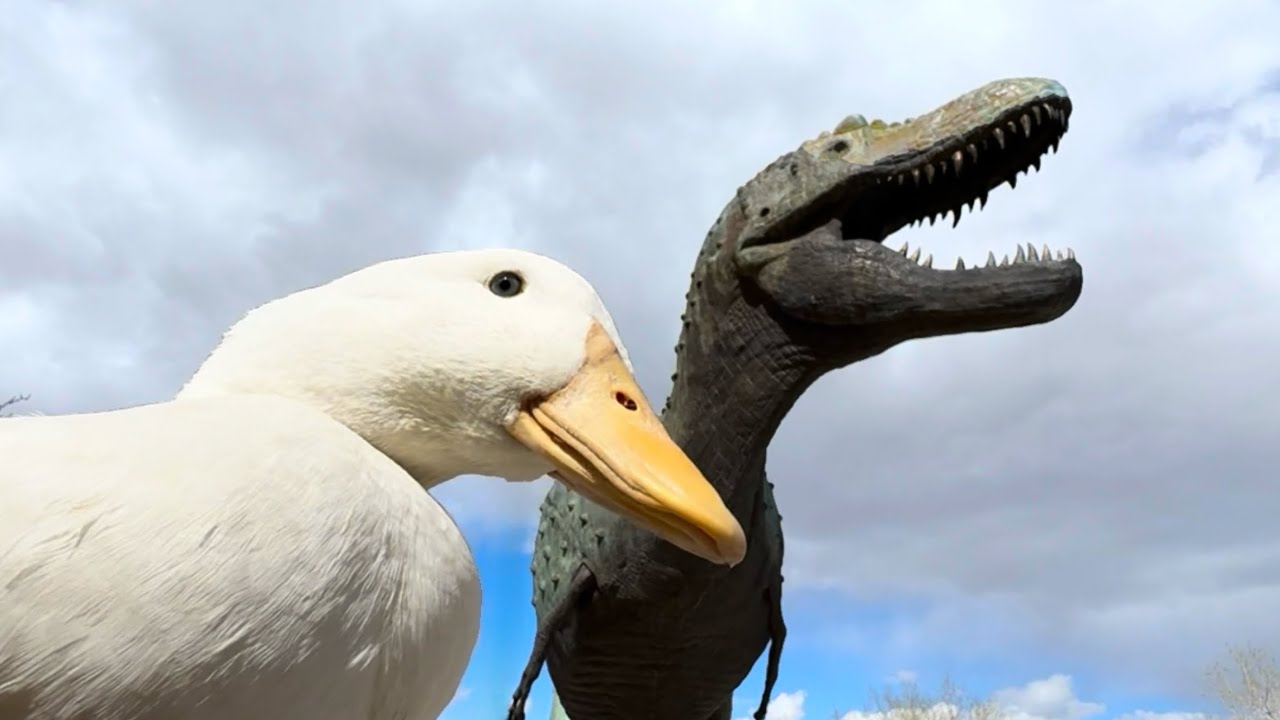 Wrinkle goes to a Dinosaur Museum - YouTube