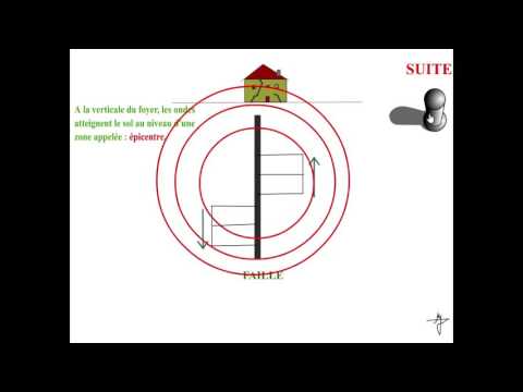 Seisme animations et explications