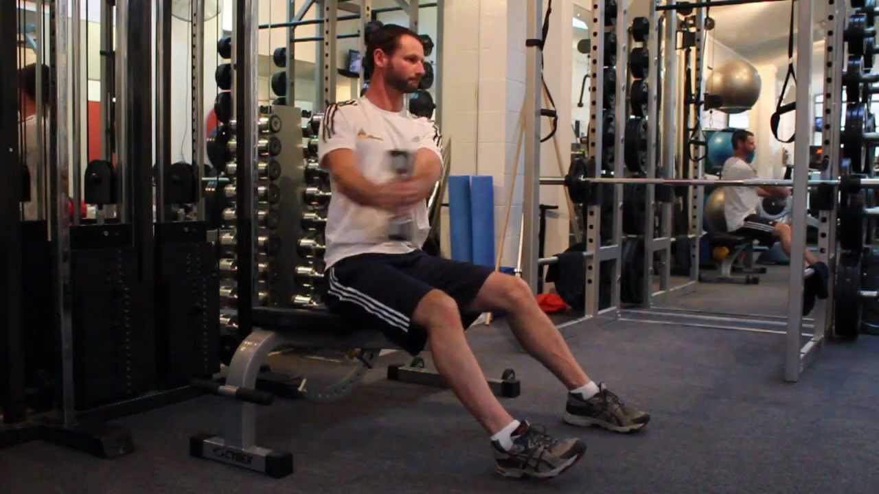 Dumbbell Core Rotation Seated - GymCalc.com - YouTube