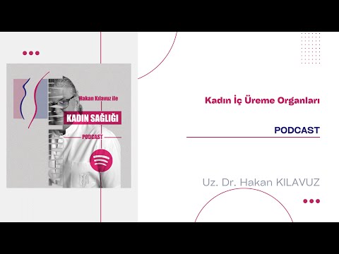 Kadın İç Üreme Organları