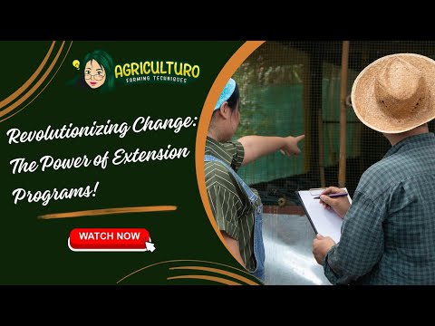 Navigating the Landscape of Extension Programs: Definition and Concept ...