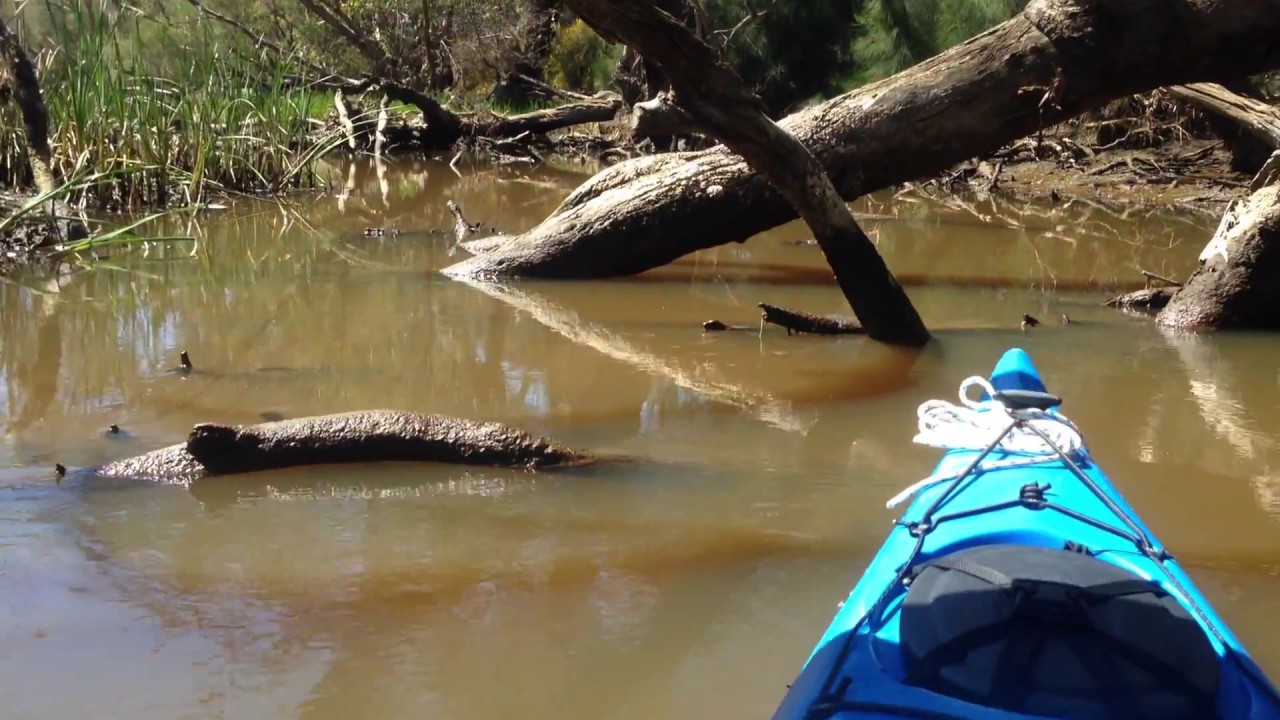 Helena River - YouTube