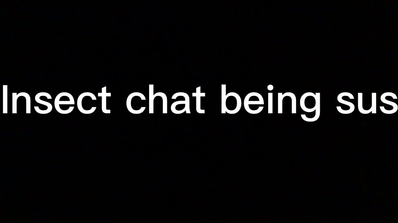 Insect chat being sus for 26 seconds straight - YouTube