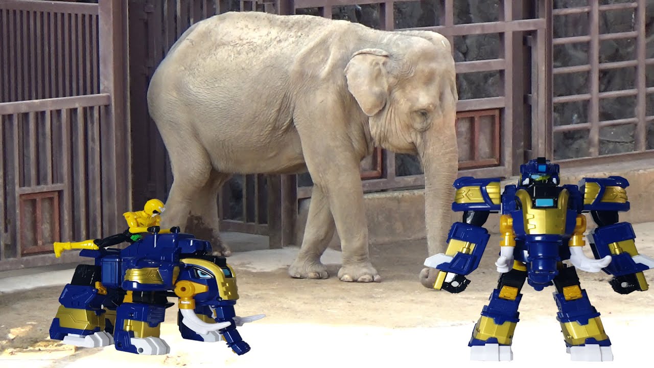 MiniForce AnimalTron Elie Volt Beast Rangers StopMotion Combo ...